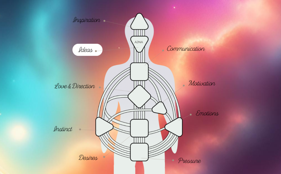 What are The 9 Centers in Human Design: Ultimate Guide ...